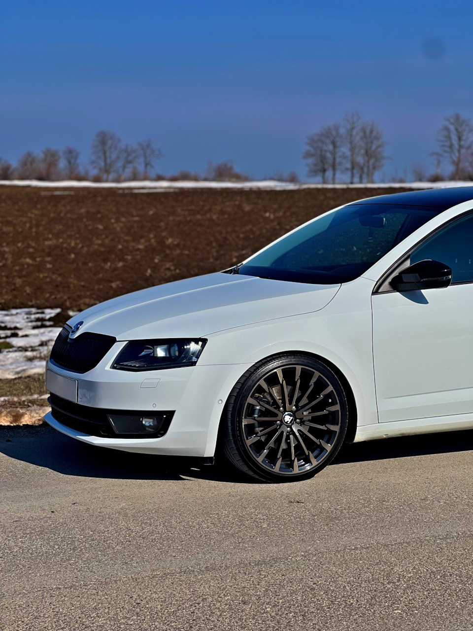 R19 235/35 + H&R -40mm — Skoda Octavia A7 Mk3, 1,8 л, 2016 года | тюнинг | DRIVE2