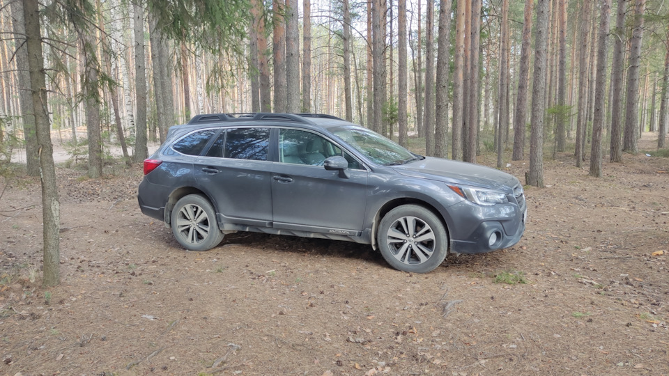 Subaru Outback (BS) 2.5 бензиновый 2018 | на DRIVE2
