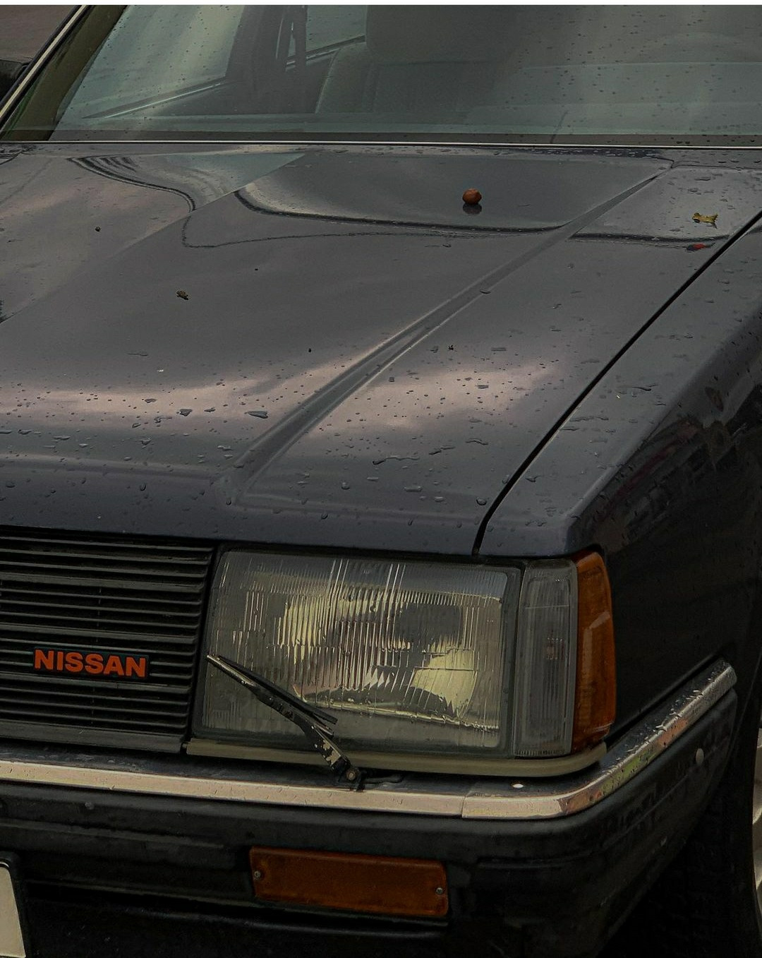 Всего понемногу — Nissan Laurel (C31), 2,4 л, 1985 года | фотография ...