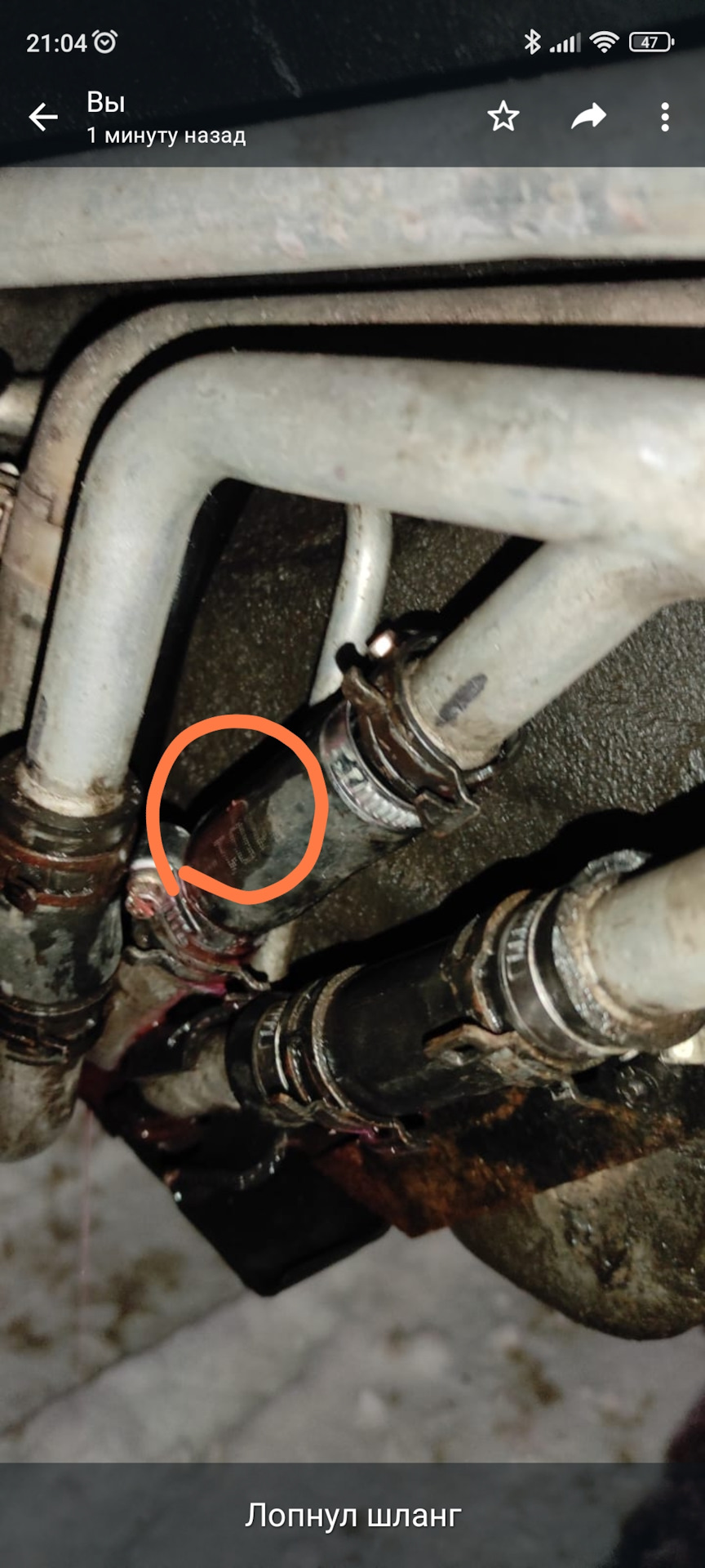 Куда то пропадает антифриз — Audi Q7 (1G), 3 л, 2007 года | наблюдение | DRIVE2