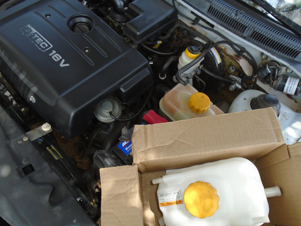 Replacing the Surge-Tank — Daewoo Nubira I, 2 л, 1999 года | фотография ...