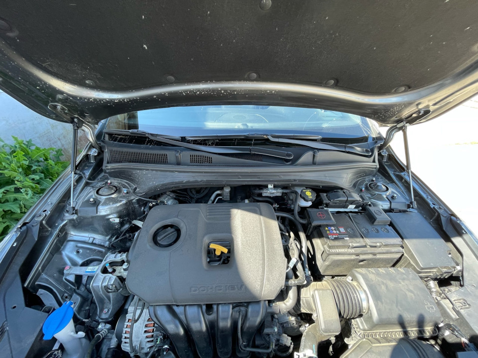 Колодки hardron и газовые упоры капота — KIA Cerato (4G), 2 л, 2021 ...