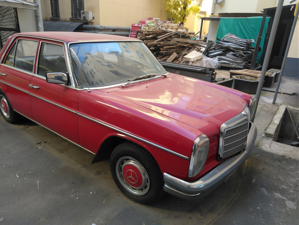 Неожиданные встречи — Mercedes-Benz W123, 2 л, 1982 года | фотография | DRIVE2