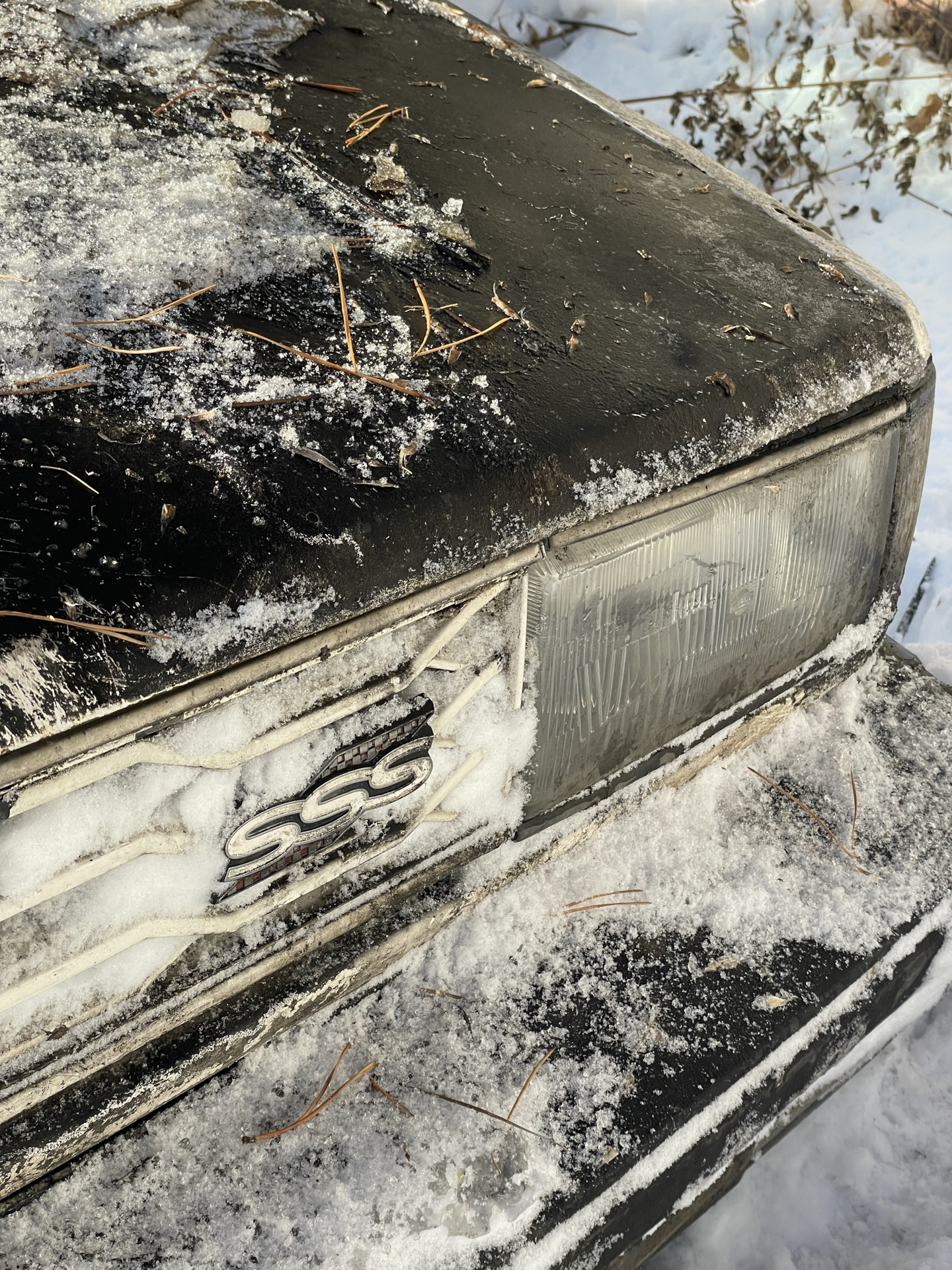 Первичный осмотр после 20 летнего простоя — Nissan Bluebird (U11), 1,8 ...