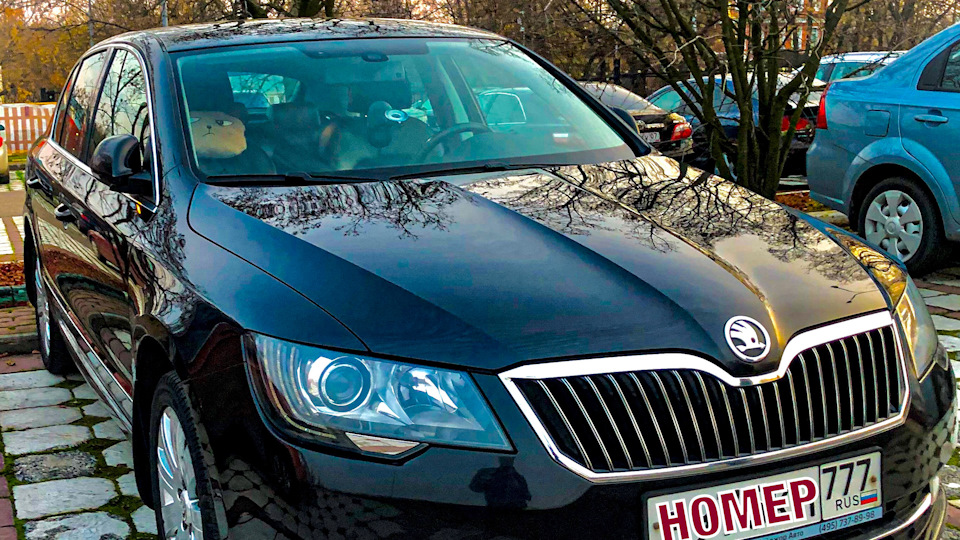 Очередное ТО — Skoda Superb Mk2, 1,8 л, 2013 года | плановое ТО | DRIVE2