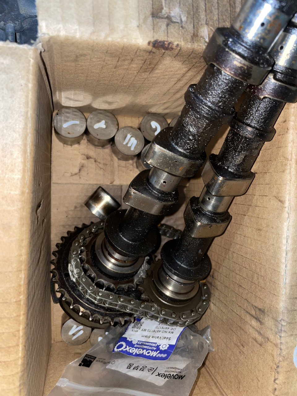 4976170 Колпачок маслосъемный CUMMINS | Запчасти на DRIVE2