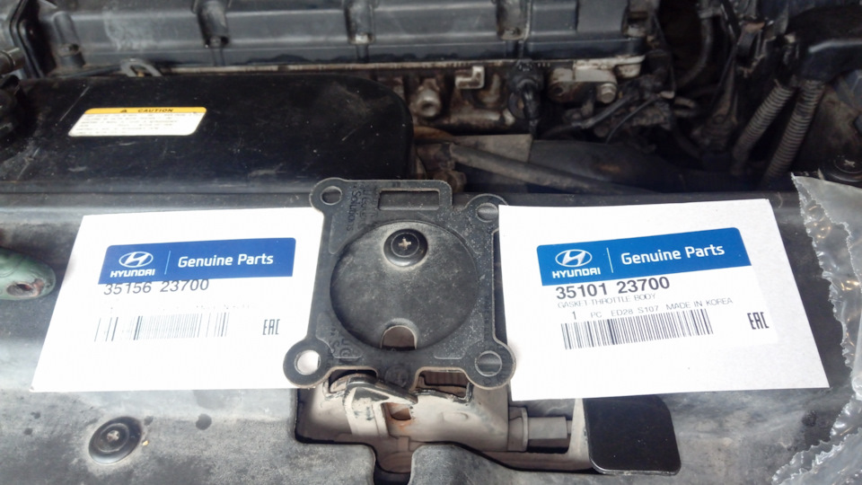 ГРМ, помпа и дроссельная заслонка. — KIA Sportage (2G), 2 л, 2008 года ...