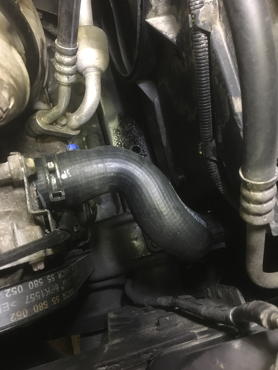 55580052 Ремень приводной Aveo T300 GM | Запчасти на DRIVE2