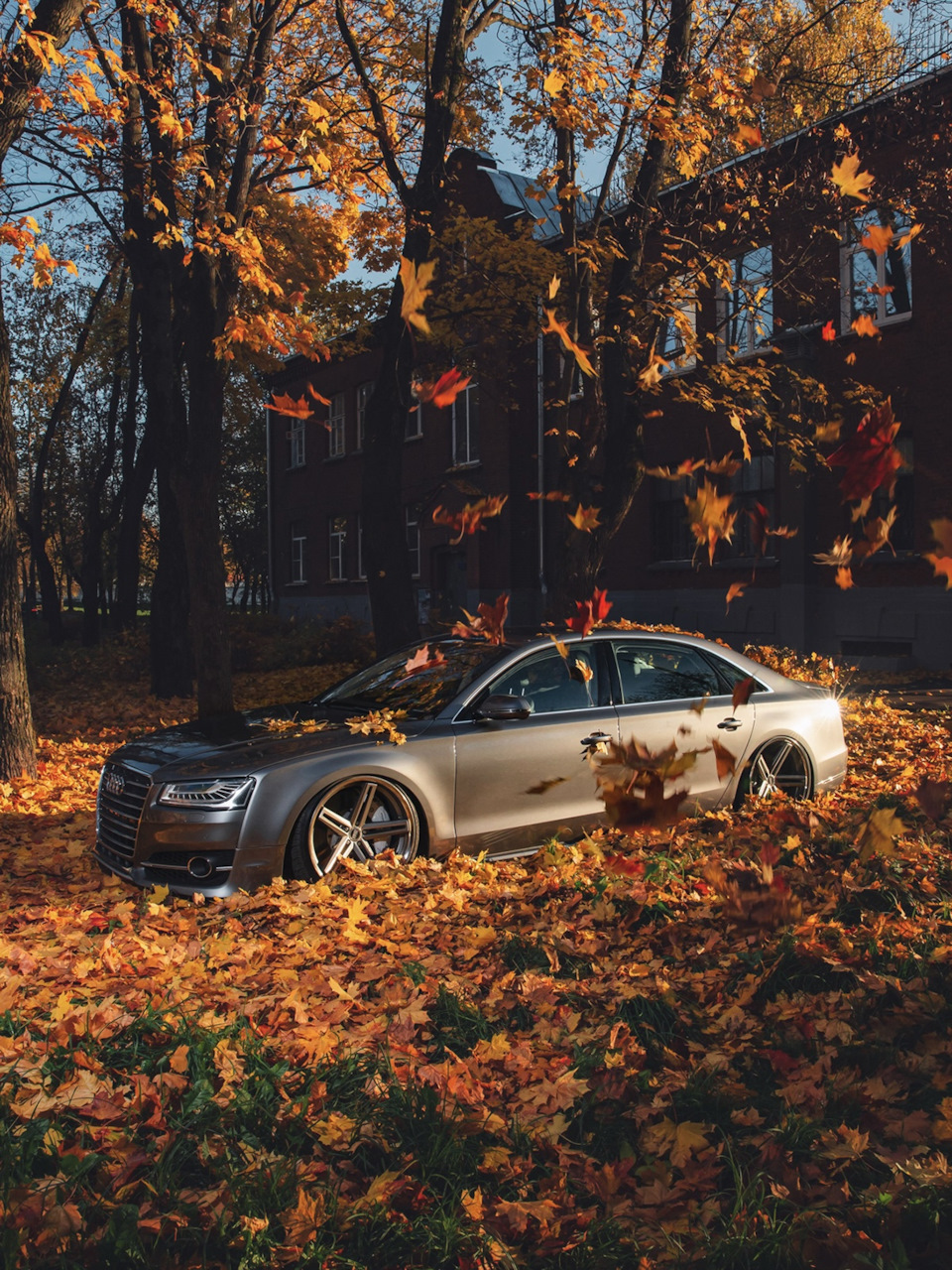 Audi A8 — Сообщество «Stanced» на DRIVE2