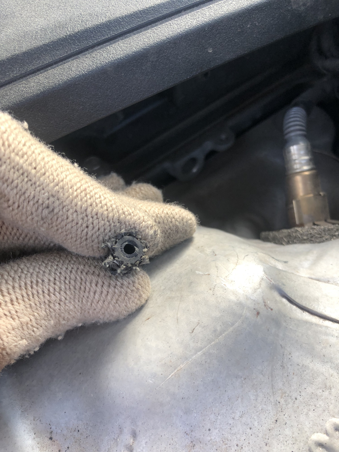 Крышка двигателя bmw f20 — BMW 1 series (F20), 1,6 л, 2012 года ...