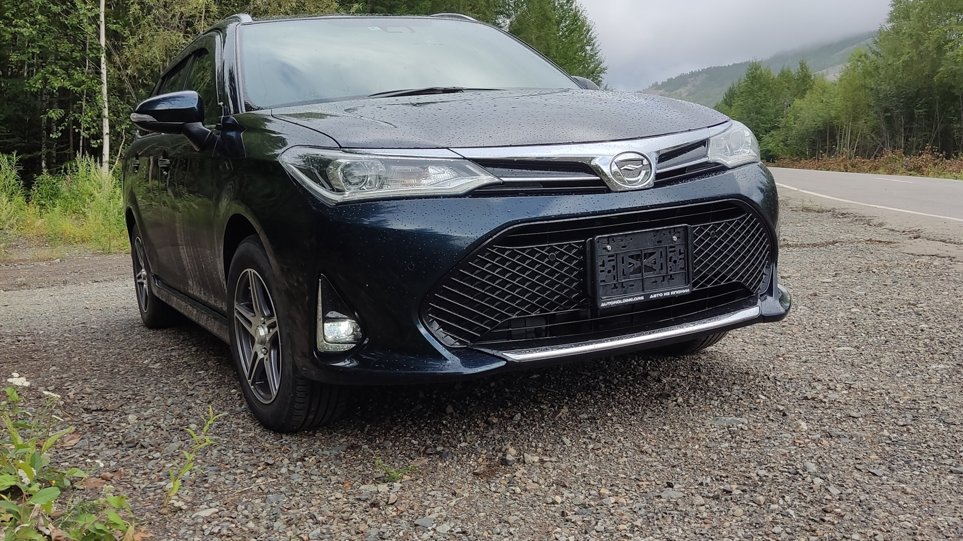 Toyota Corolla Fielder (E160) 1.5 бензиновый 2018 | WxB 4WD на DRIVE2