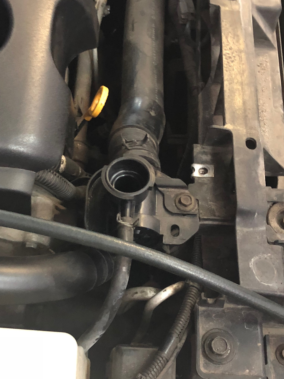 Обслужил "немного" — Nissan Teana (J32), 2,5 л, 2008 года | плановое ТО ...