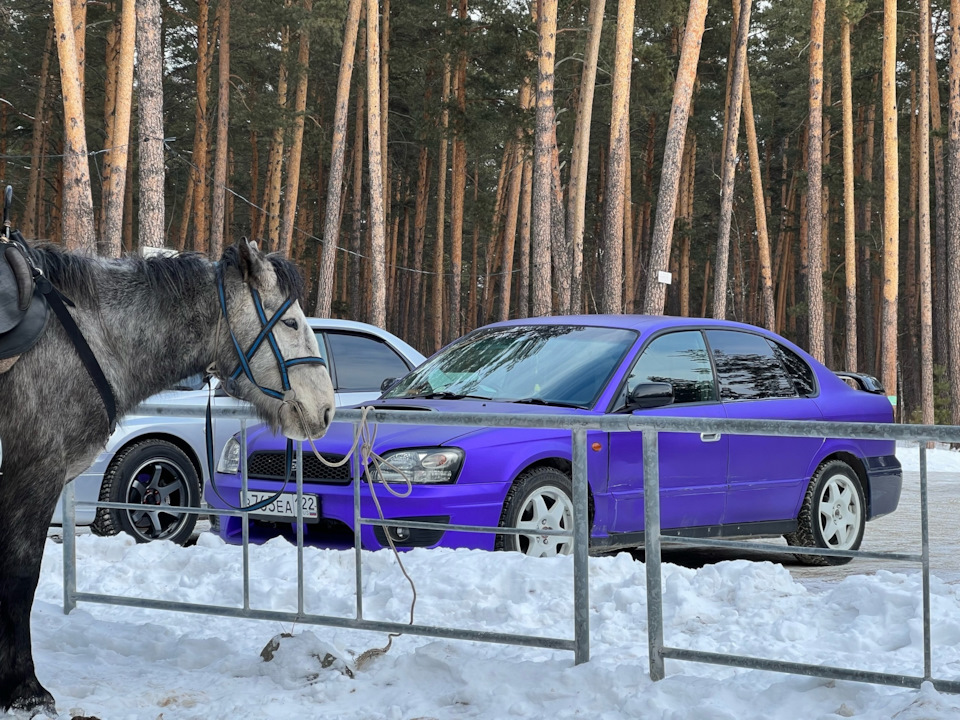Горный. Зеркала, блок подъемников, лямбда 1, замена масла. — Subaru ...