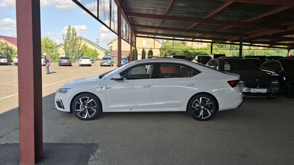 Skoda Octavia Pro 1.4 бензиновый 2023 | на DRIVE2