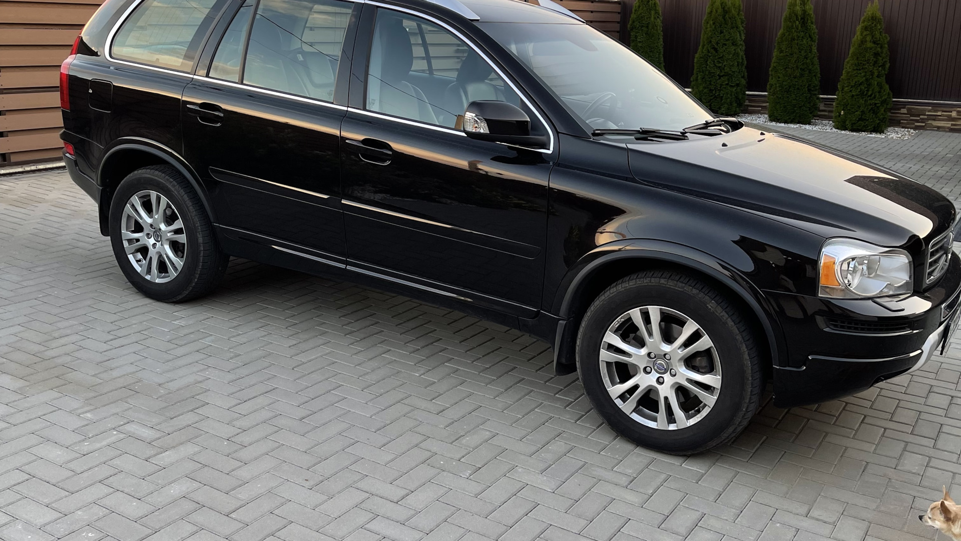 Volvo XC90 (1G) 2.5 бензиновый 2014 | Вовчик II или д. Володя на DRIVE2