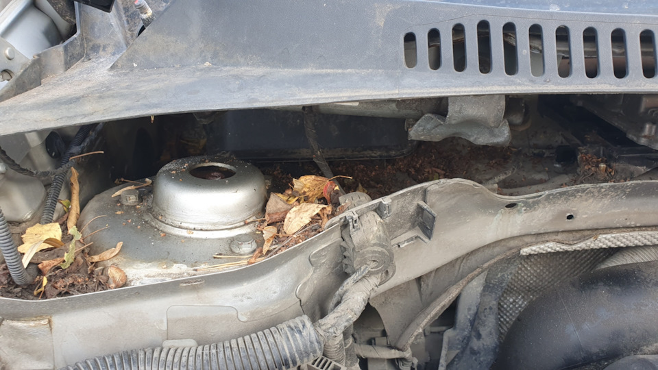 Опоры — SEAT Altea Freetrack, 2 л, 2012 года | своими руками | DRIVE2