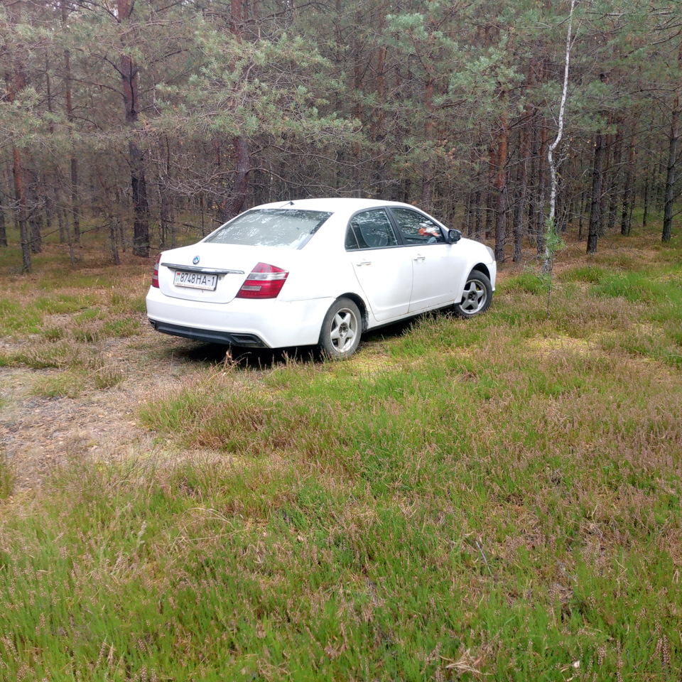 Вот и всё! — Geely SC7, 1,8 л, 2017 года | продажа машины | DRIVE2