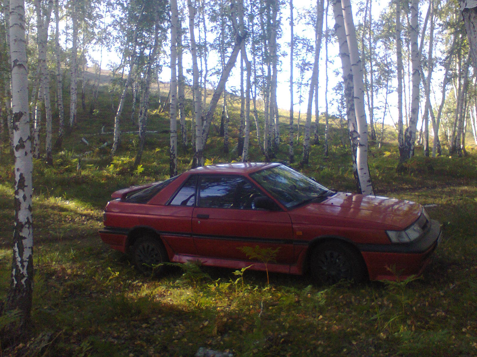 Выезд в лес — Nissan Sunny (B12), 1,8 л, 1987 года | фотография | DRIVE2