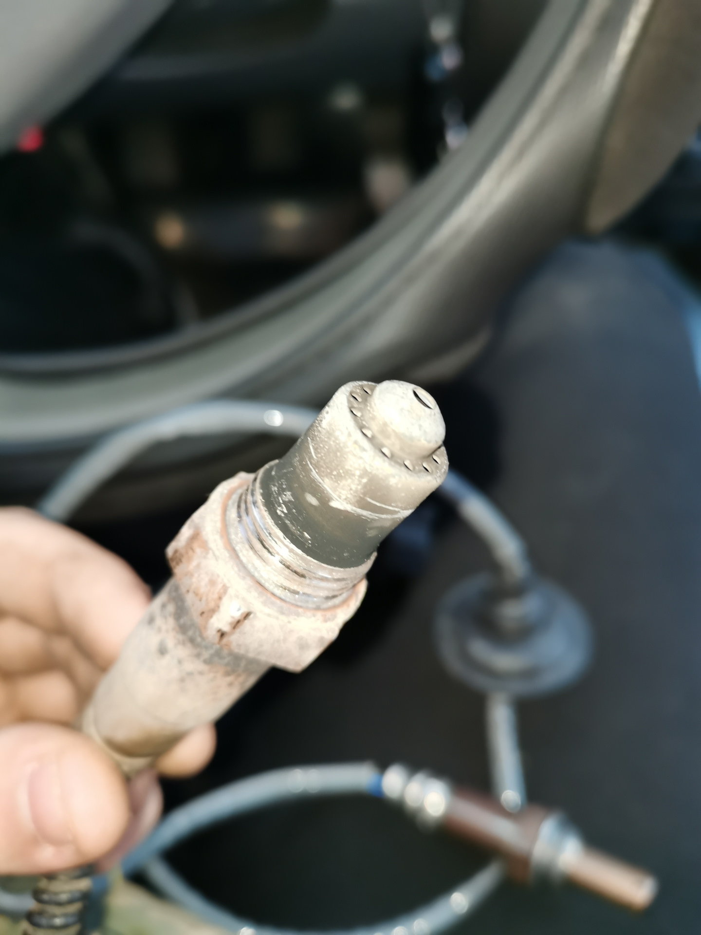 Датчик кислорода — Hyundai Accent (2G), 1,5 л, 2009 года | наблюдение ...