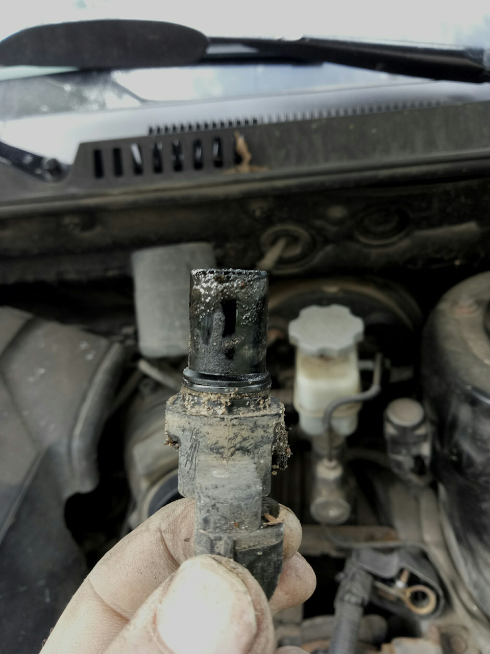 Мухобойка (глава 2, заключительная) — Chery Kimo, 1,3 л, 2011 года | стайлинг | DRIVE2