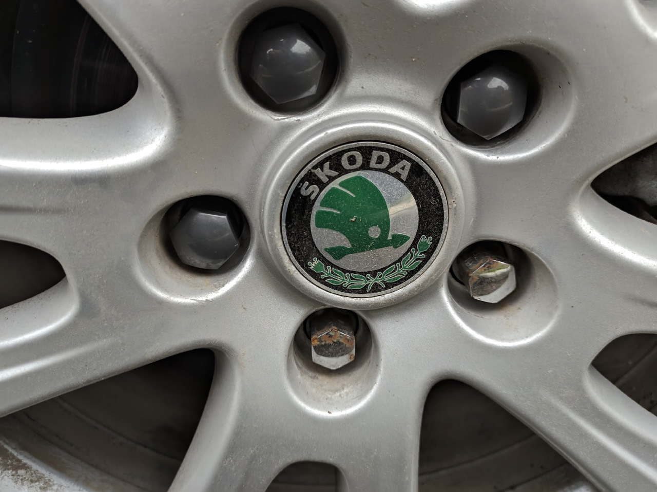 #14 — Декоративные колпачки колесных болтов. — Skoda Octavia A5 Mk2, 1 ...