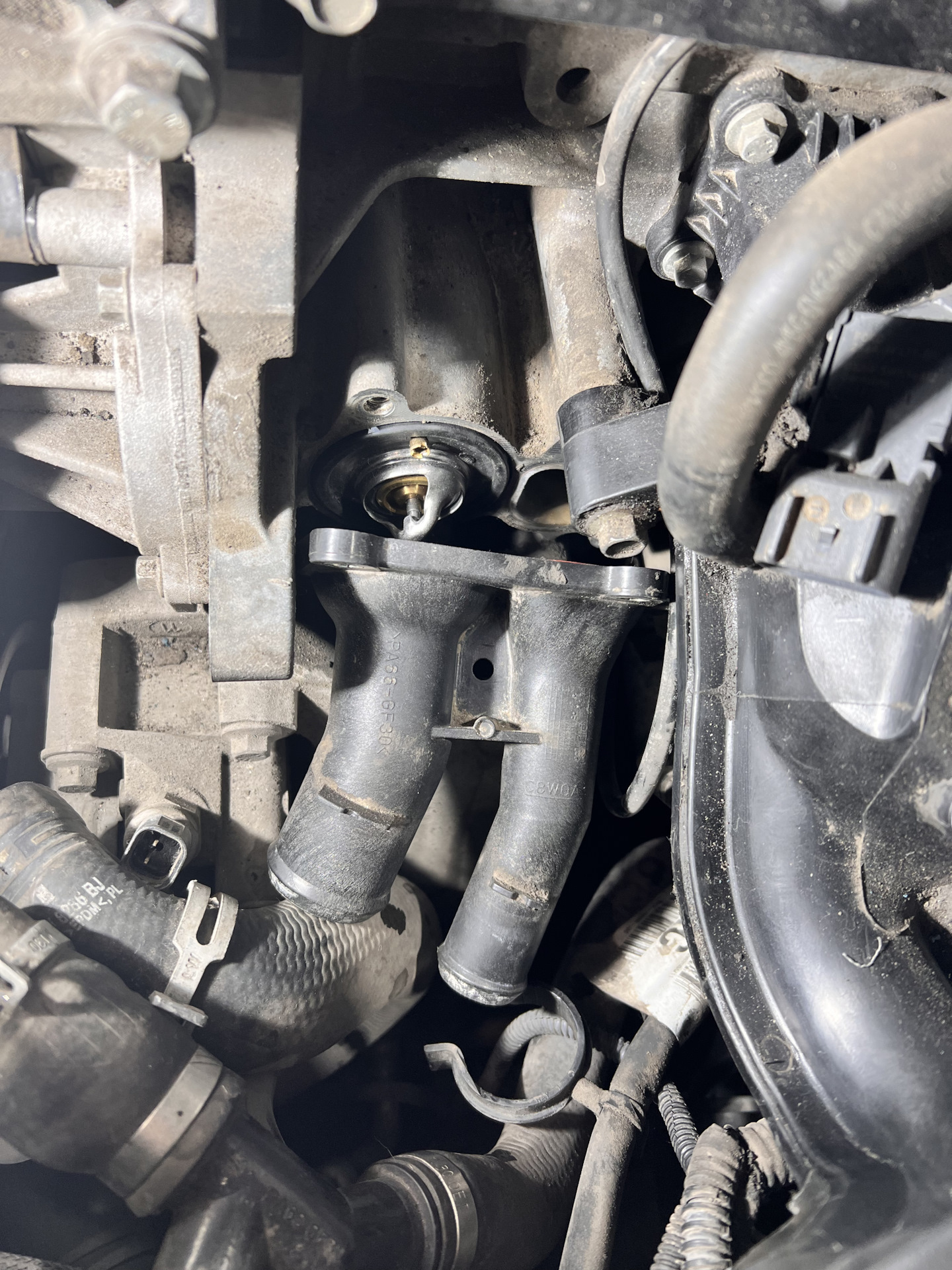 Замена термостата — Ford Focus Sedan II, 1,6 л, 2011 года | поломка ...