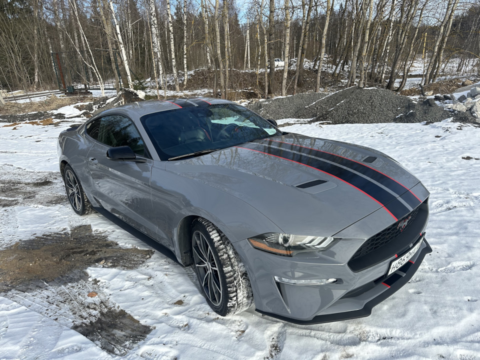 Nardo Grey — Ford Mustang (6G), 2,3 л, 2019 года | стайлинг | DRIVE2