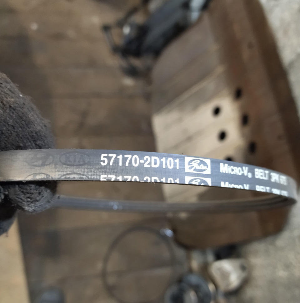 571702D101 ПРИВОДНОЙ РЕМЕНЬ L=65СМ KIA HYUNDAI | Запчасти на DRIVE2