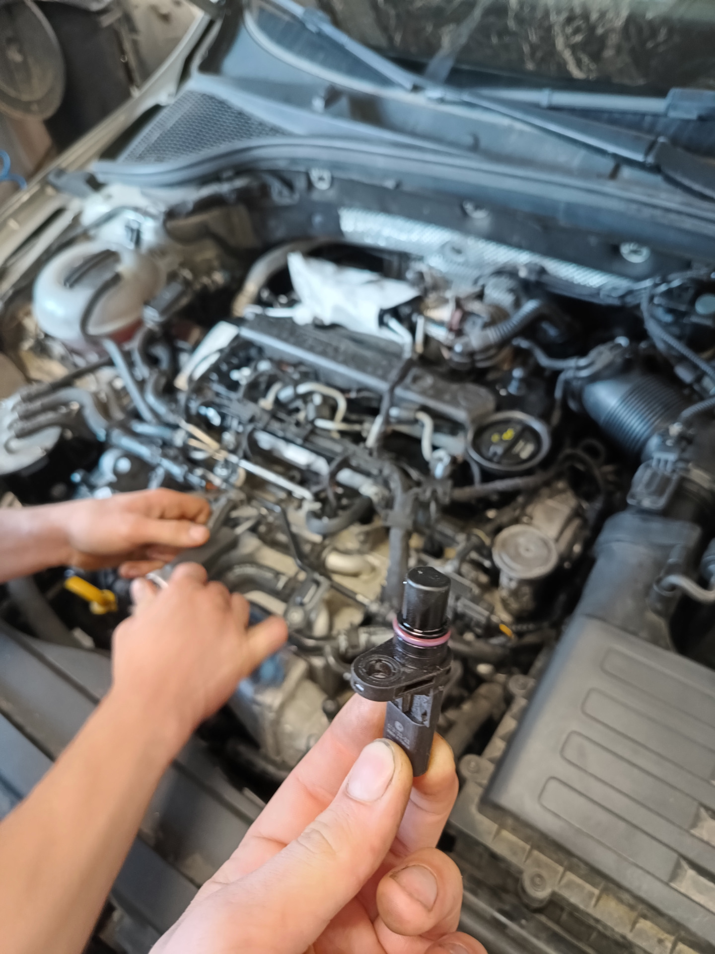 Škoda ошибка по датчику положения распредвала или P034100 — Audi A4 (B6 ...