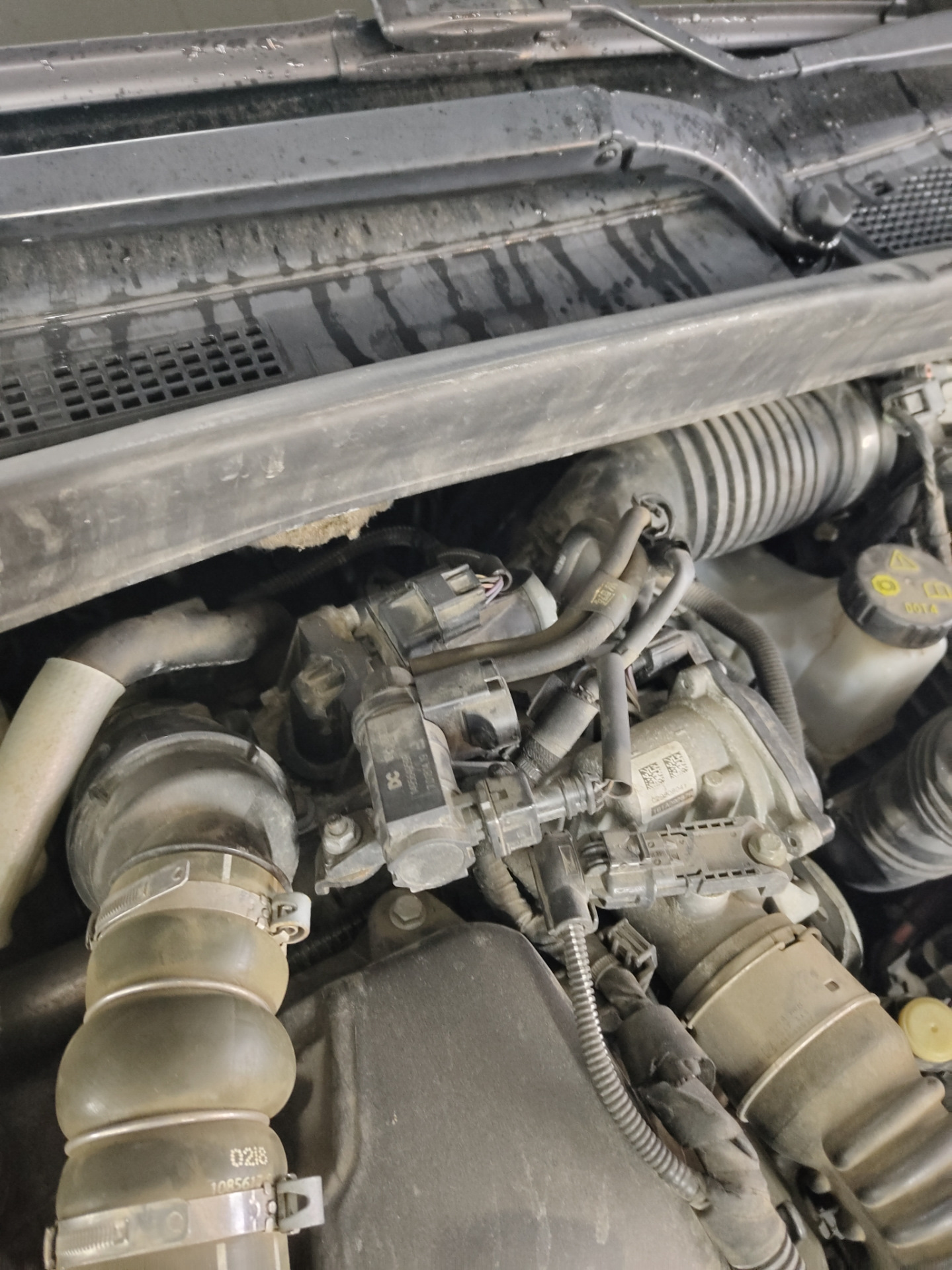 Замена трубки див давления — Renault Megane IV, 1,5 л, 2018 года ...