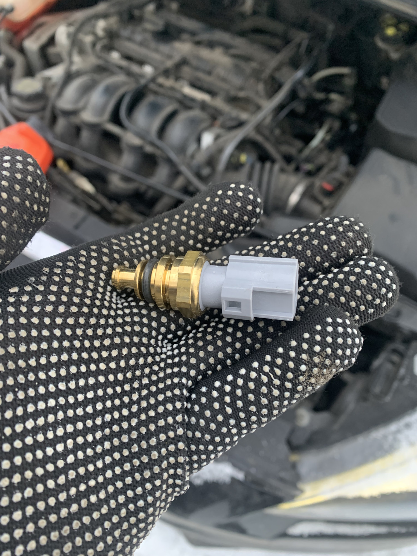 Замена датчика охлаждающей жидкости(ДТОЖ). — Ford Focus Sedan III, 1,6 ...