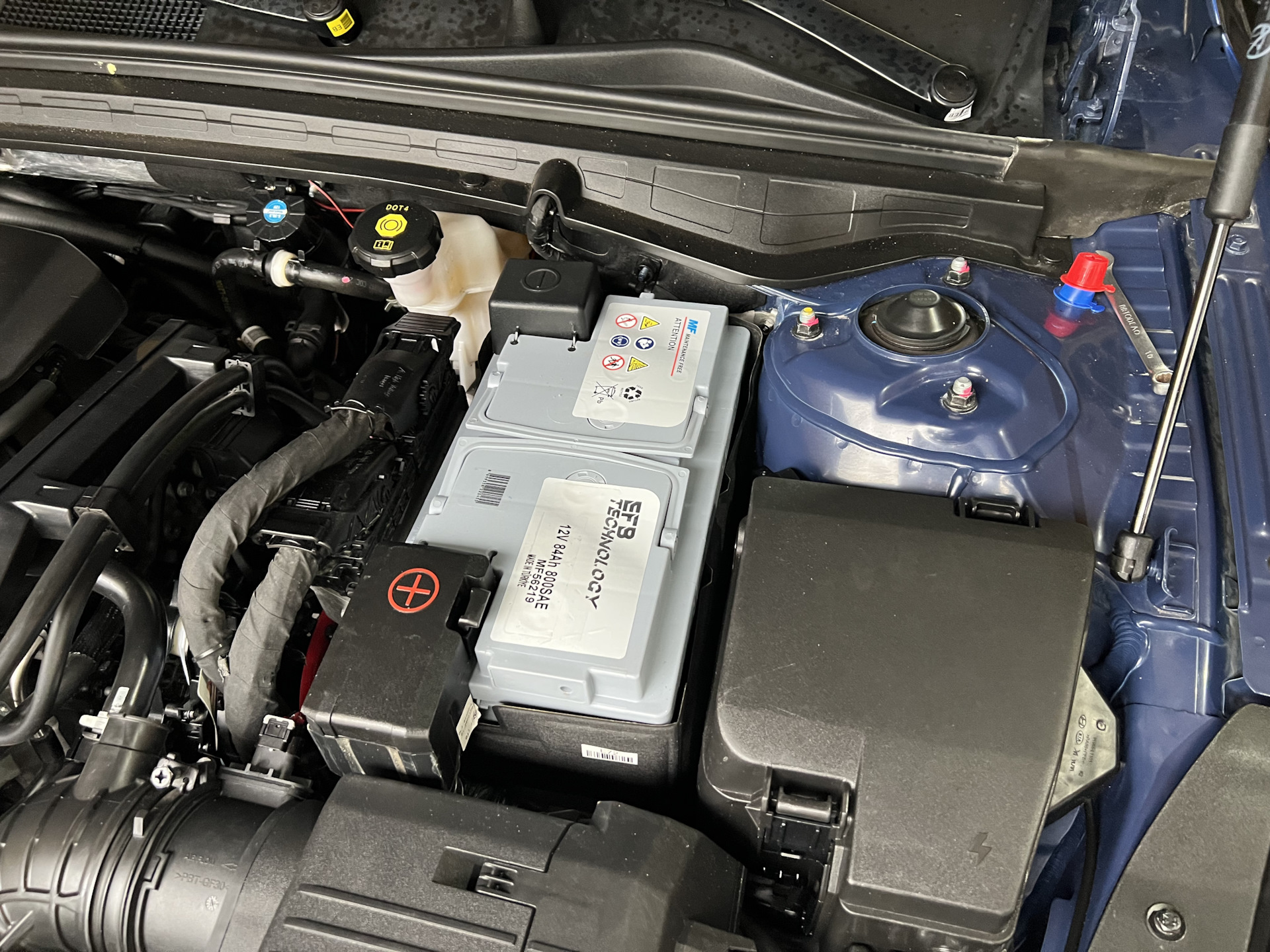 Новый Акум — KIA K5 (3G), 2,5 л, 2021 года | электроника | DRIVE2