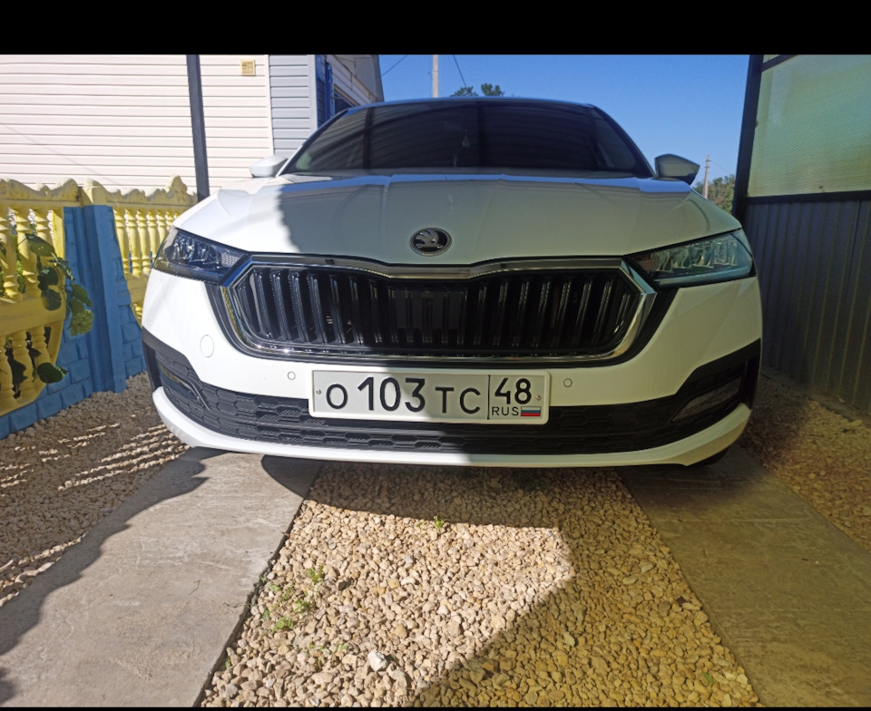 Рамки госномеров SAK — Skoda Octavia A8 Mk4, 1,4 л, 2020 года ...