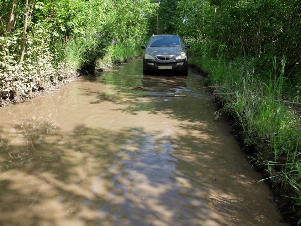 Toyota Mark II (100) 2.5 бензиновый 1997 | на DRIVE2