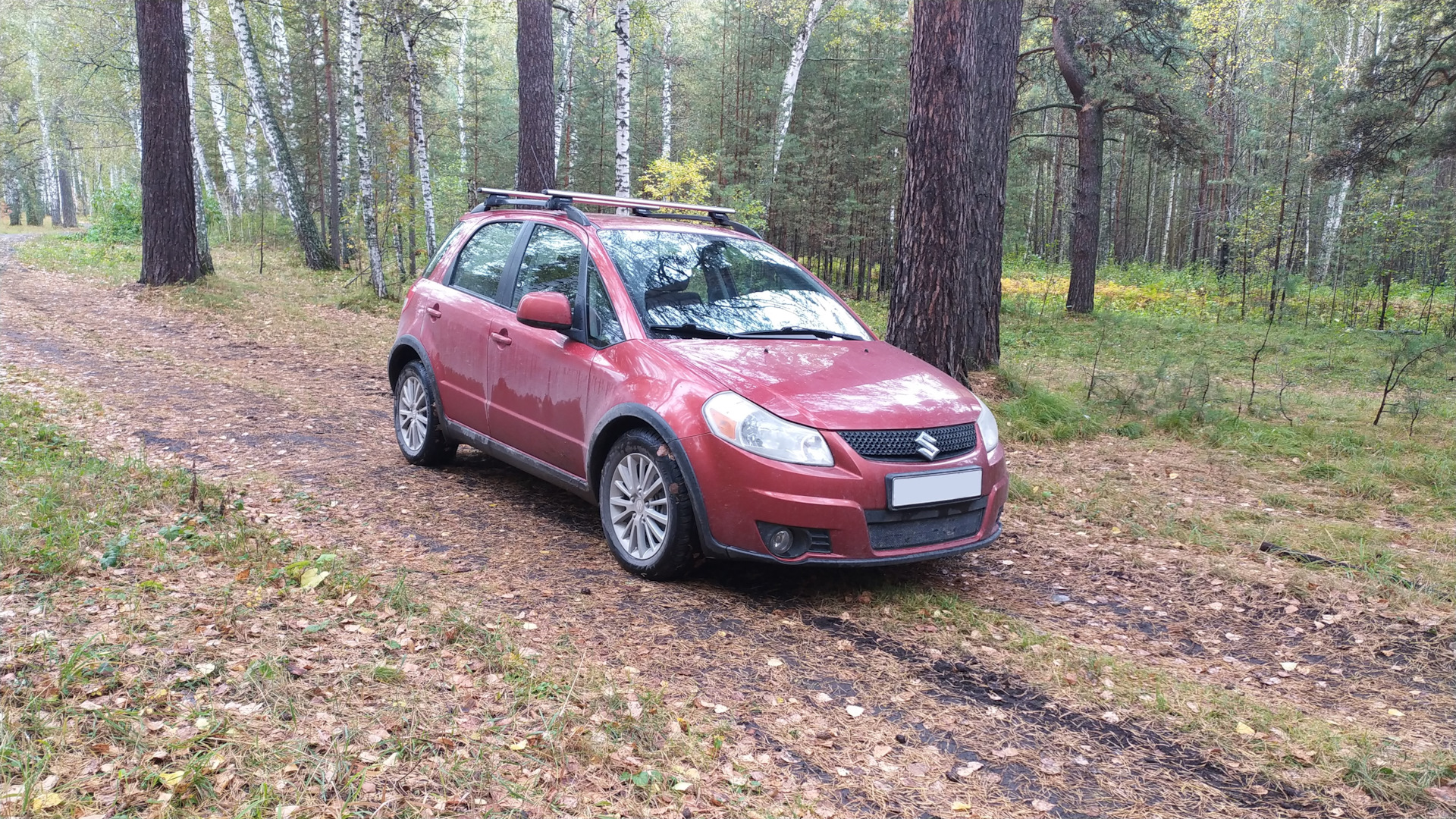 Свечи — Suzuki SX4 (1G), 2 л, 2009 года | расходники | DRIVE2
