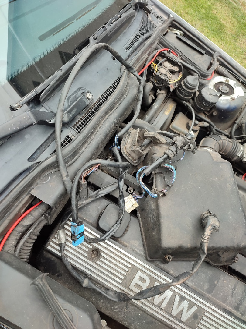 S540A Круиз контроль BMW E34 — BMW 5 series (E34), 2 л, 1991 года ...