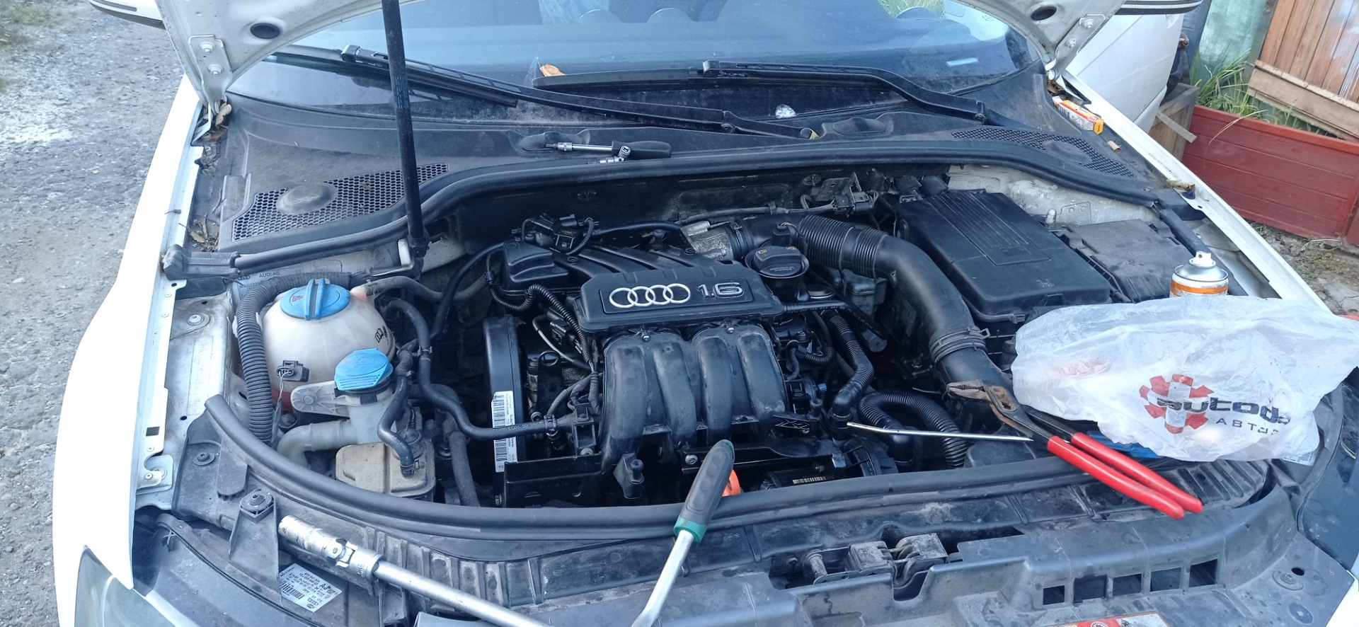 ТО с промывкой форсунок и заменой свечей — Audi A3 (8P), 1,6 л, 2009 года | плановое ТО | DRIVE2