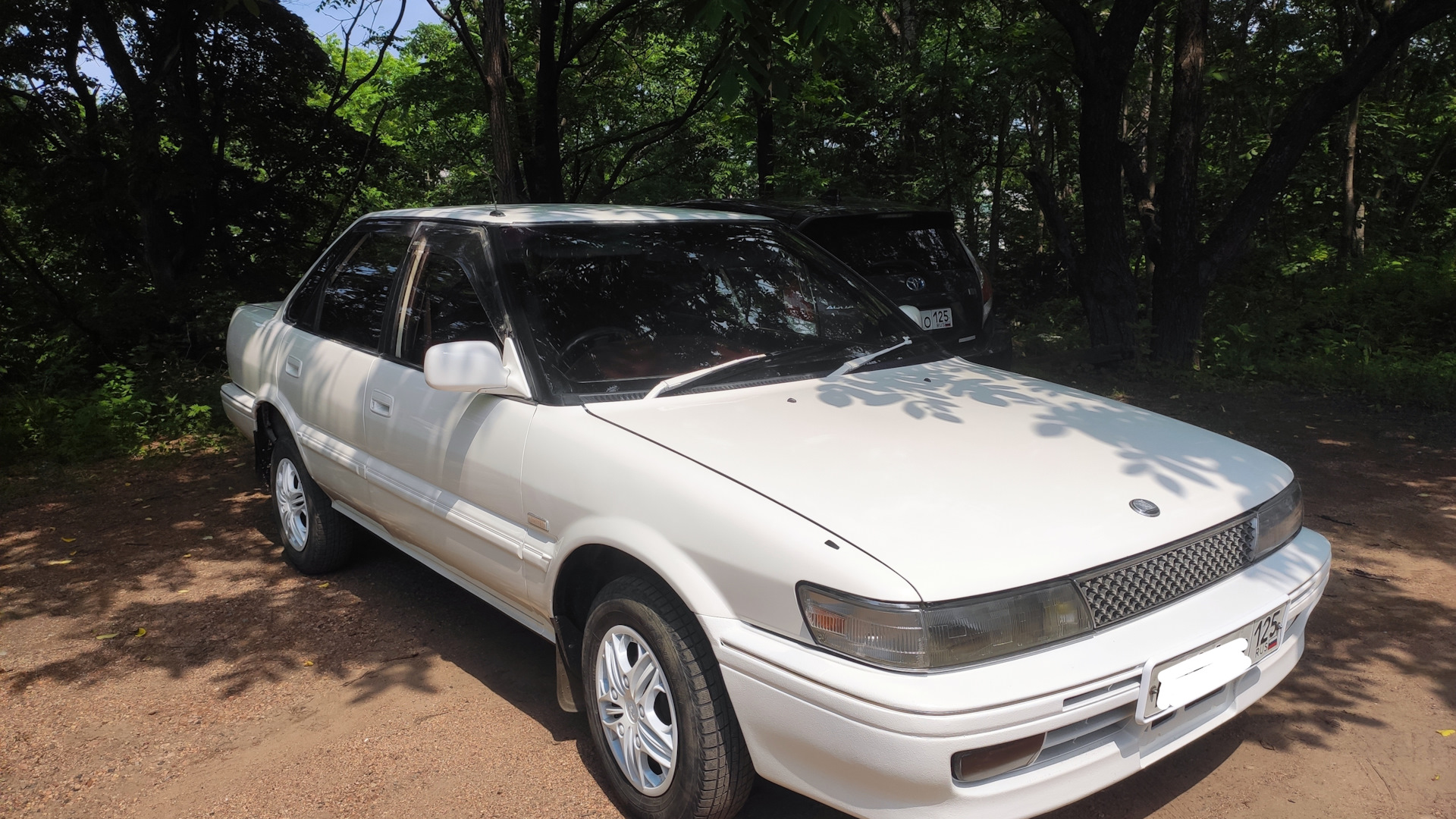 Toyota Sprinter (90) 1.5 бензиновый 1989 | SE limited на DRIVE2