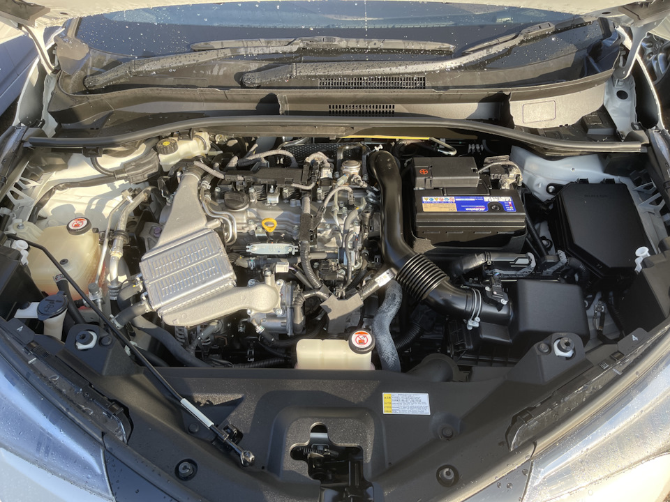 Юнец 8nr-fts — Toyota C-HR, 1,2 л, 2017 года | наблюдение | DRIVE2