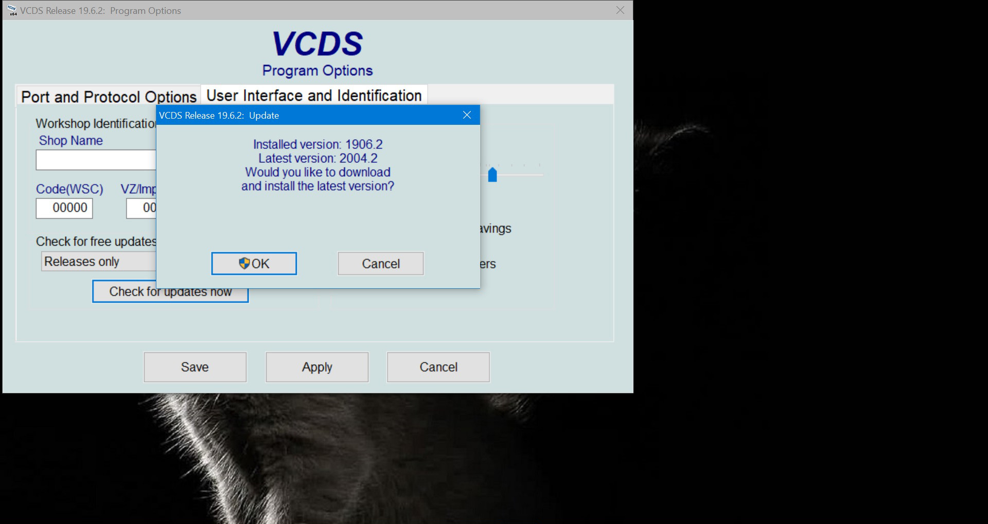 VCDS Ross-tech оригинал, не ВАСЯ! — Volkswagen Passat CC, 2 л, 2010 ...
