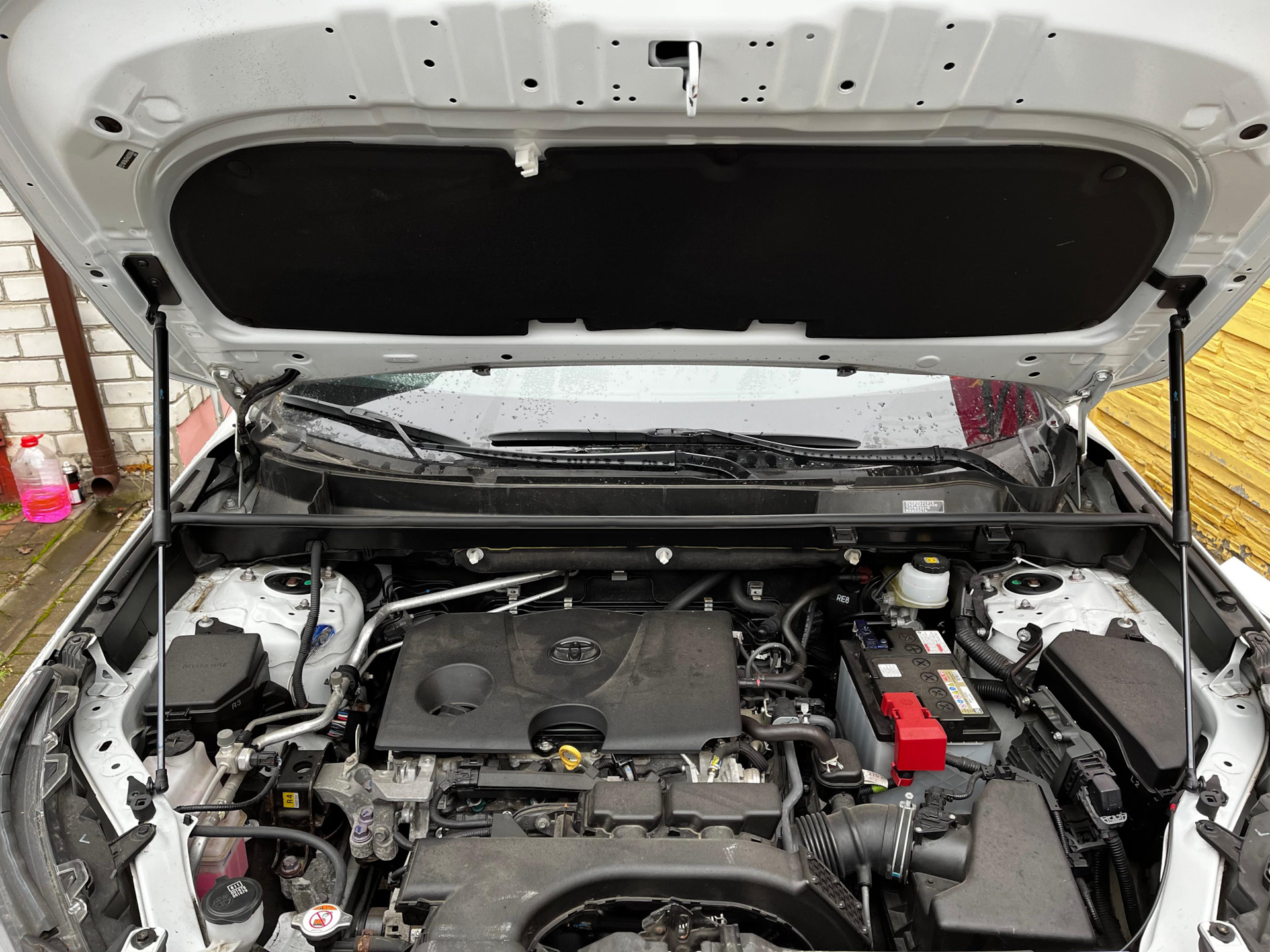 Rav4. Газовые упоры капота — Toyota RAV4 (5G), 2 л, 2019 года | тюнинг ...