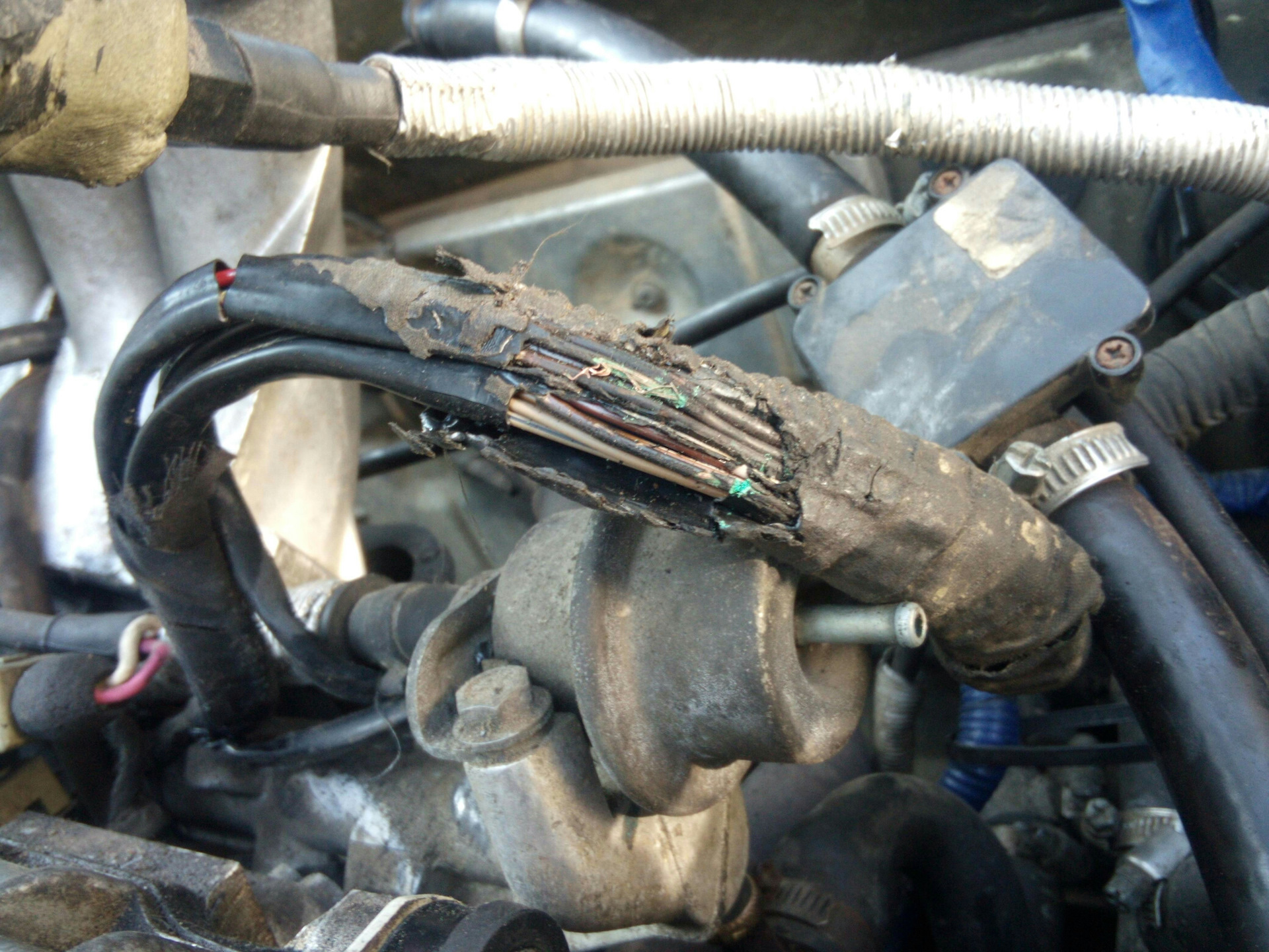 запчасти для частичной капиталки ДВС — Audi A4 (B7), 2 л, 2008 года ...