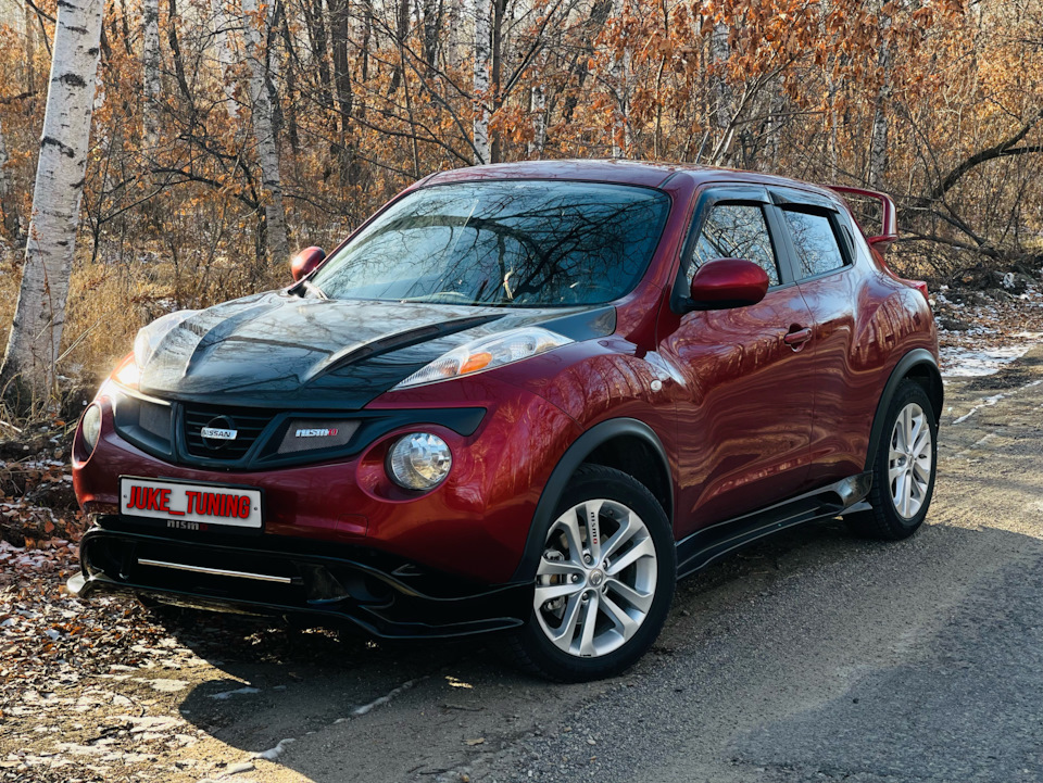 Обвес на Nissan Juke Tuning — Nissan Juke (1G), 1,6 л, 2010 года ...