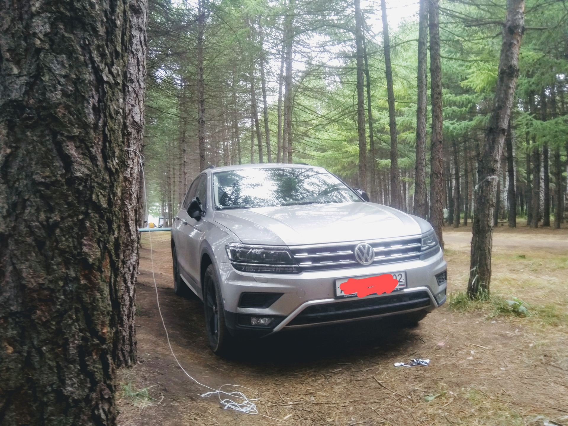 Покупка Часть 2 . Отдаем красное забираем серо-бело-коричневый ...