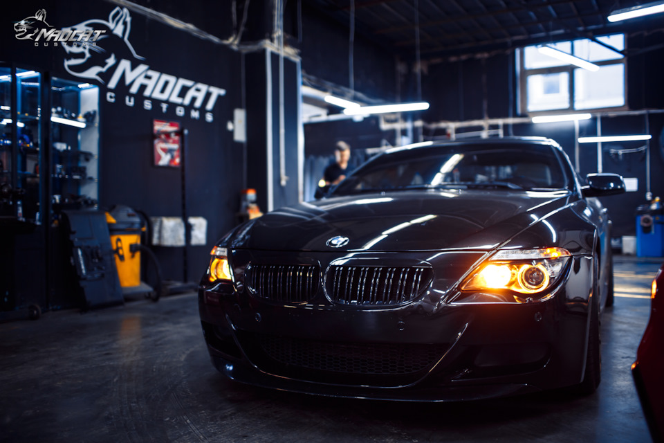 MaDCaT Customs: отзывы, цены, фото