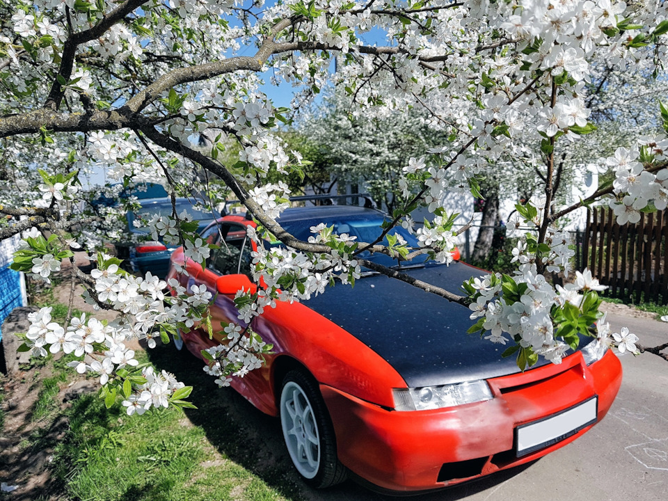 39. Колёсные болты🔩 — Opel Calibra, 2 л, 1991 года | аксессуары | DRIVE2