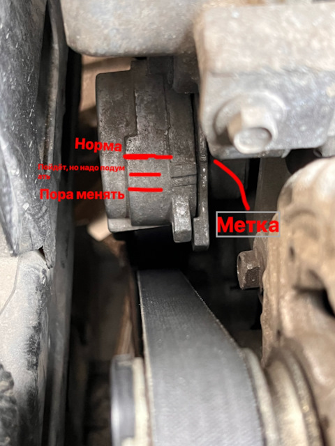 117201VA0A Поликлиновой ремень NISSAN INFINITI | Запчасти на DRIVE2