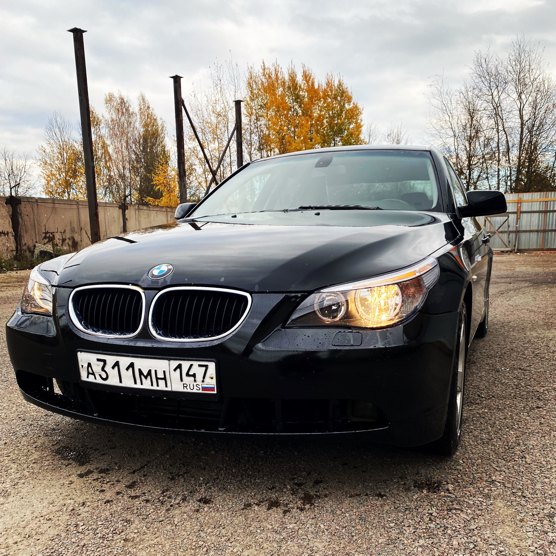 Немного обновились — BMW 5 series (E60), 3 л, 2003 года | своими руками ...