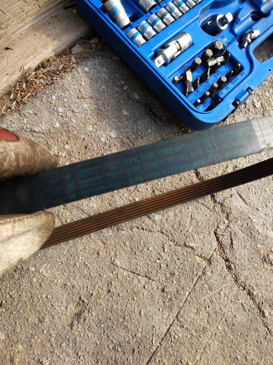 Autumn photoset of Honda Orthia #жизнь_одного_спойлера — Honda Orthia ...