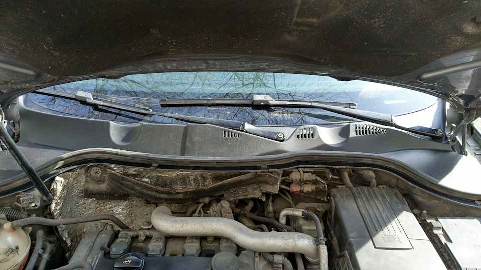 Замена жабо — Volkswagen Passat B6, 2 л, 2005 года | запчасти | DRIVE2